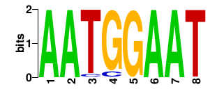 Motifs: Browse binding motifs of transcription factors identified from ...